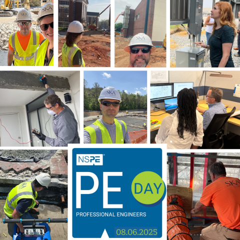 Ska Consulting - News - Happy National PE Day